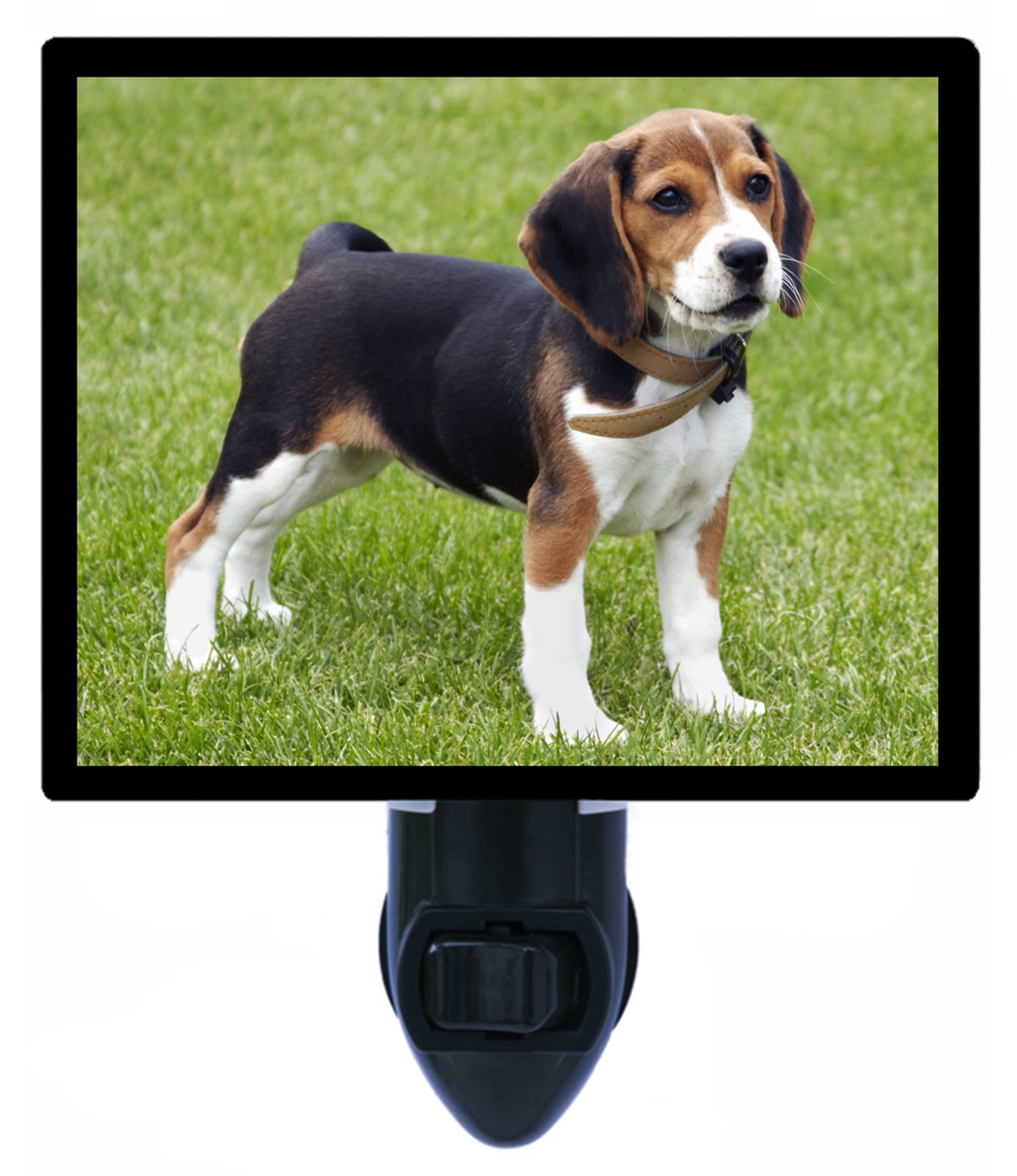 Night Light - Beagle Puppy. | Dog Theme, Includes Free Switchable ...
