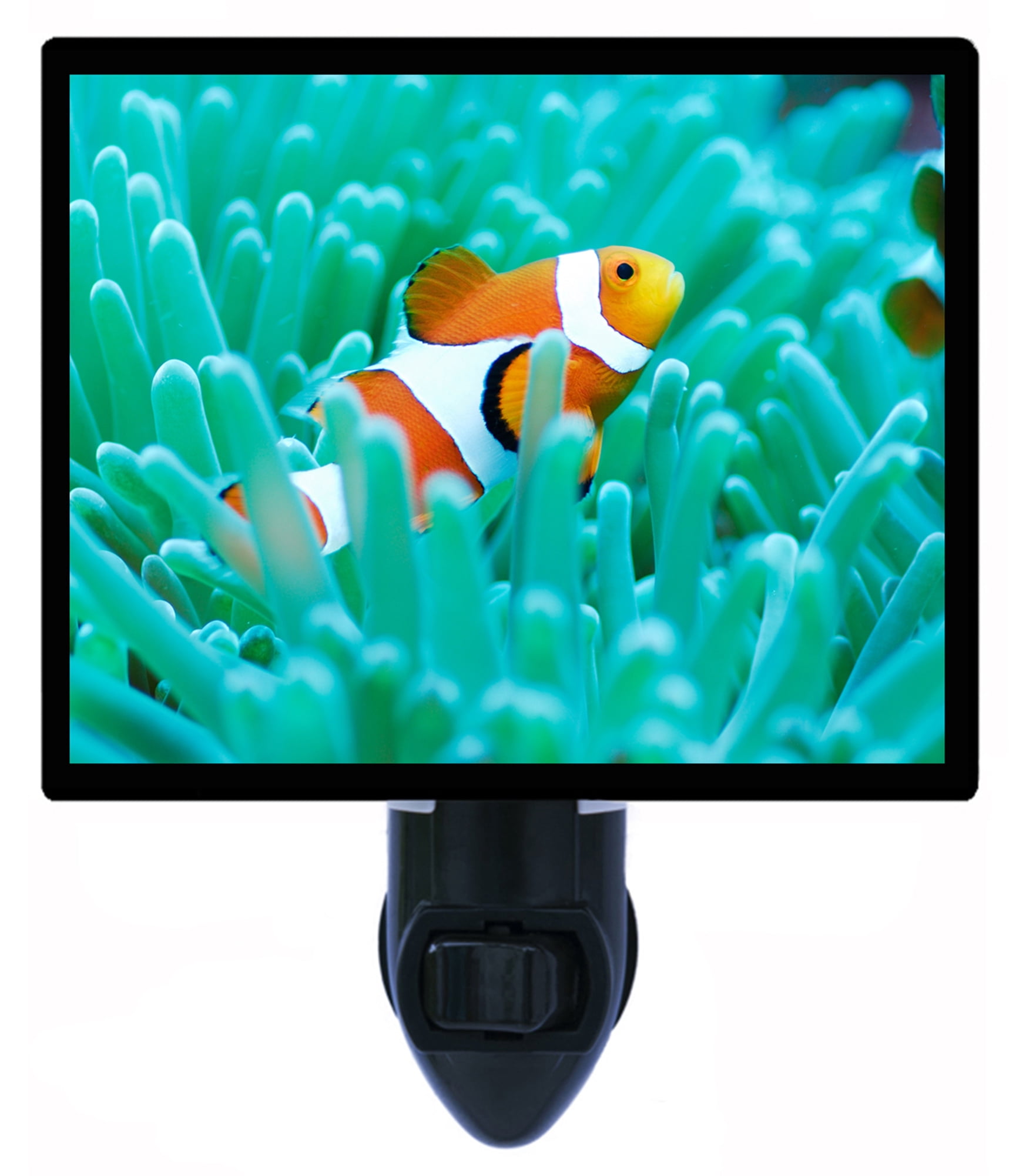 Night Light - Clown Fish. | Fish Theme, Includes Free Switchable Insert ...
