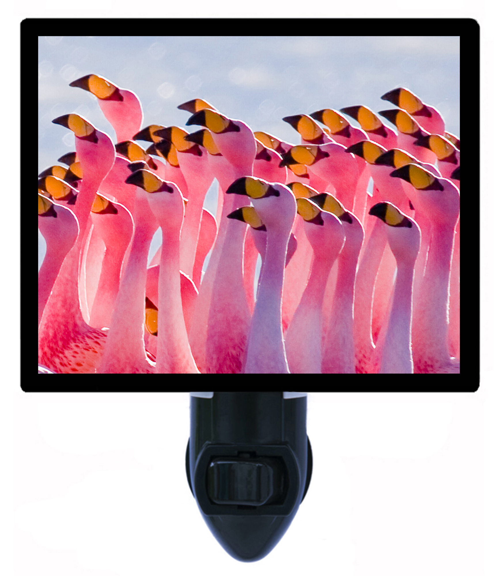Night Light - Flamingo Party. | Tropical Theme, Includes Free ...