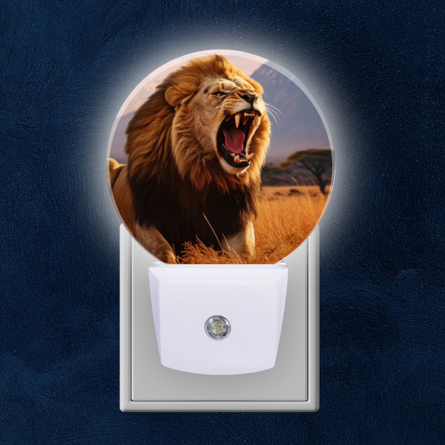 Night Light Plug into Wall,Dusk to Dawn Sensor Auto-On/Off for Bathroom ...