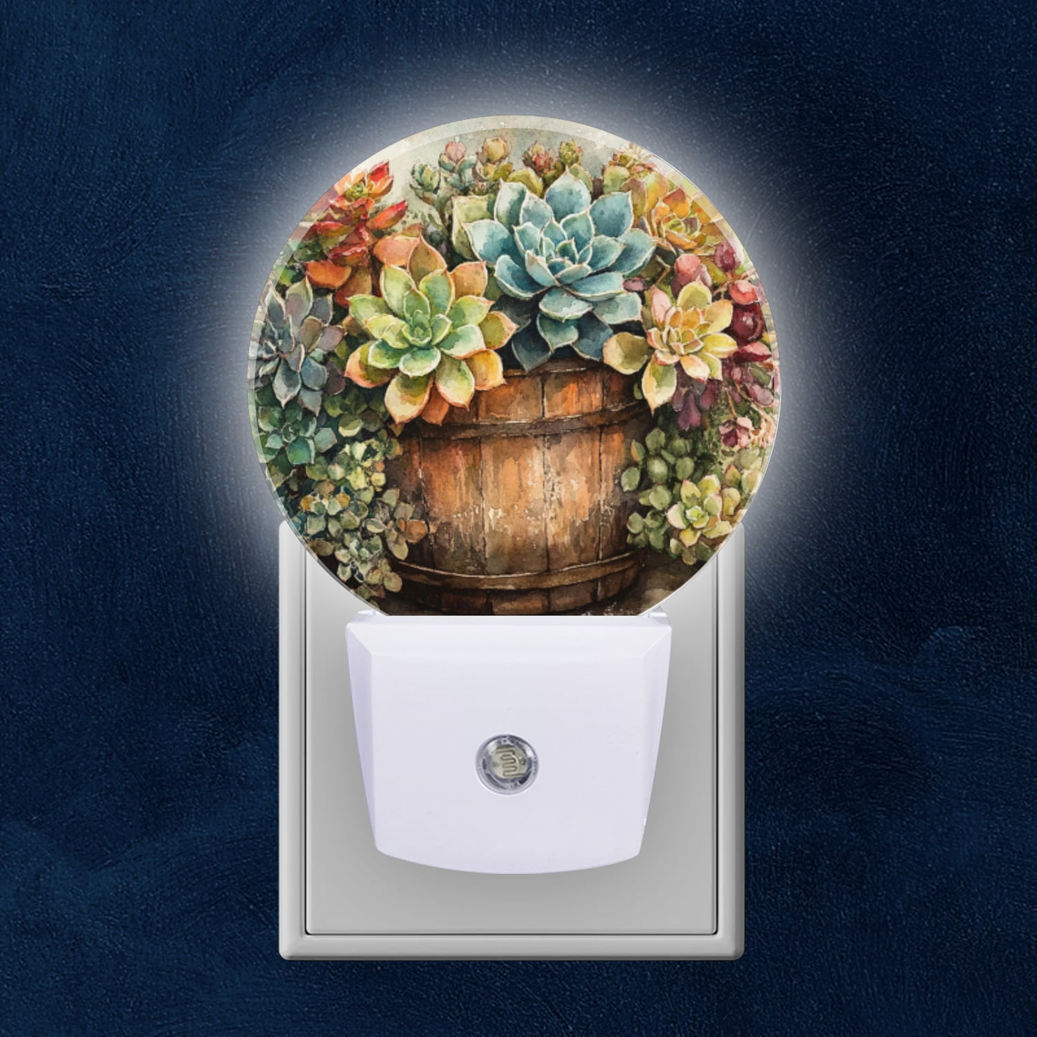 Night Light Plug into Wall,Dusk to Dawn Sensor Auto-On/Off for Bathroom ...