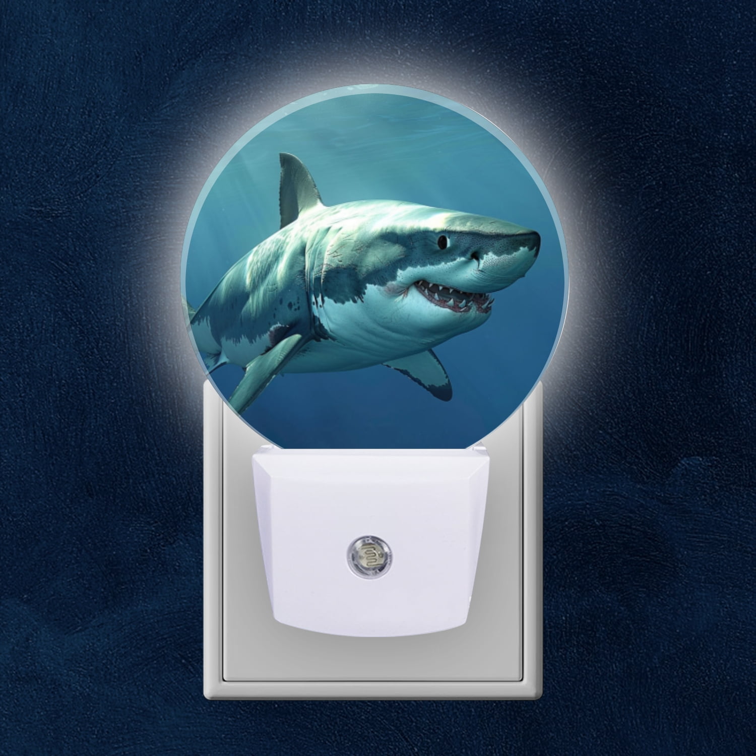Night Light Plug into Wall,Dusk to Dawn Sensor Auto-On/Off for Bathroom ...