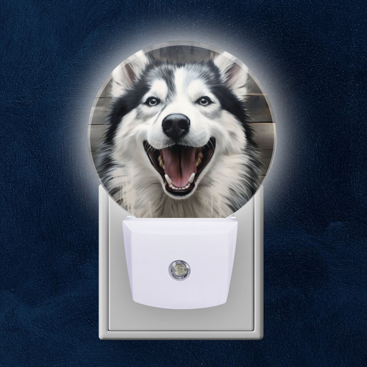 Night Light Plug into Wall,Dusk to Dawn Sensor Auto-On/Off for Bathroom ...