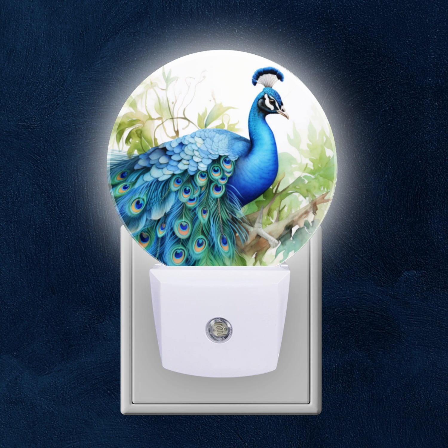 Night Light Plug into Wall,Dusk to Dawn Sensor Auto-On/Off for Bathroom ...