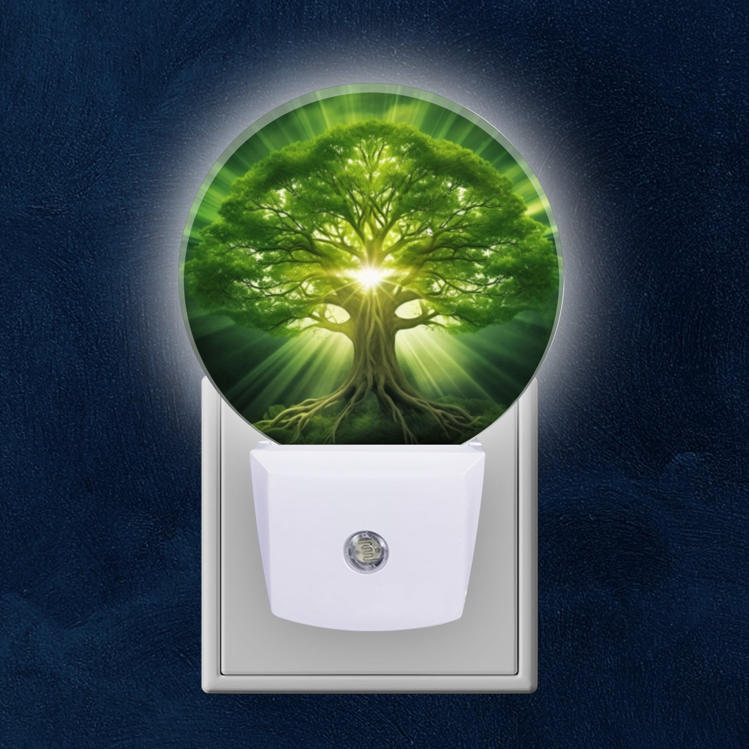 Night Light Plug into Wall,Dusk to Dawn Sensor Auto-On/Off for Bathroom ...