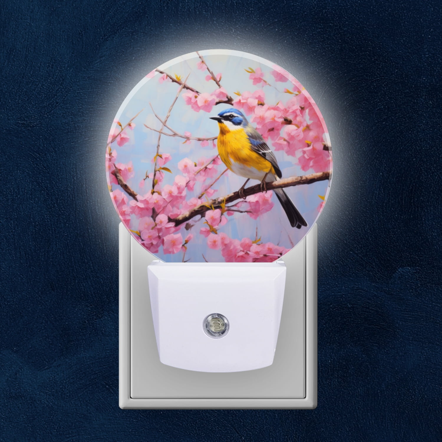 Night Light Plug into Wall,Dusk to Dawn Sensor Auto-On/Off for Bathroom ...