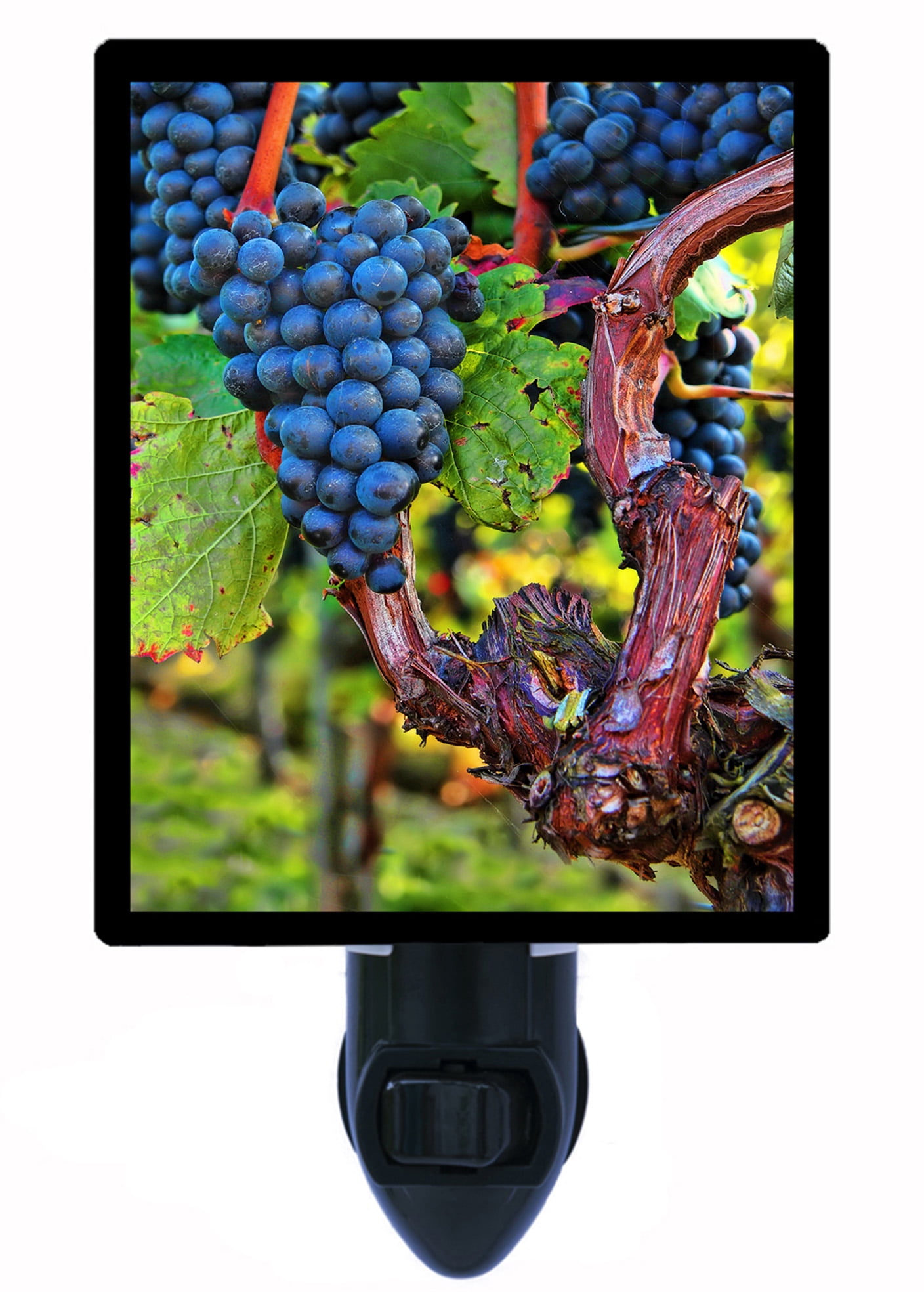 Night Light - Night Light Plus Extra Free Switchable Insert. 4 Watt ...