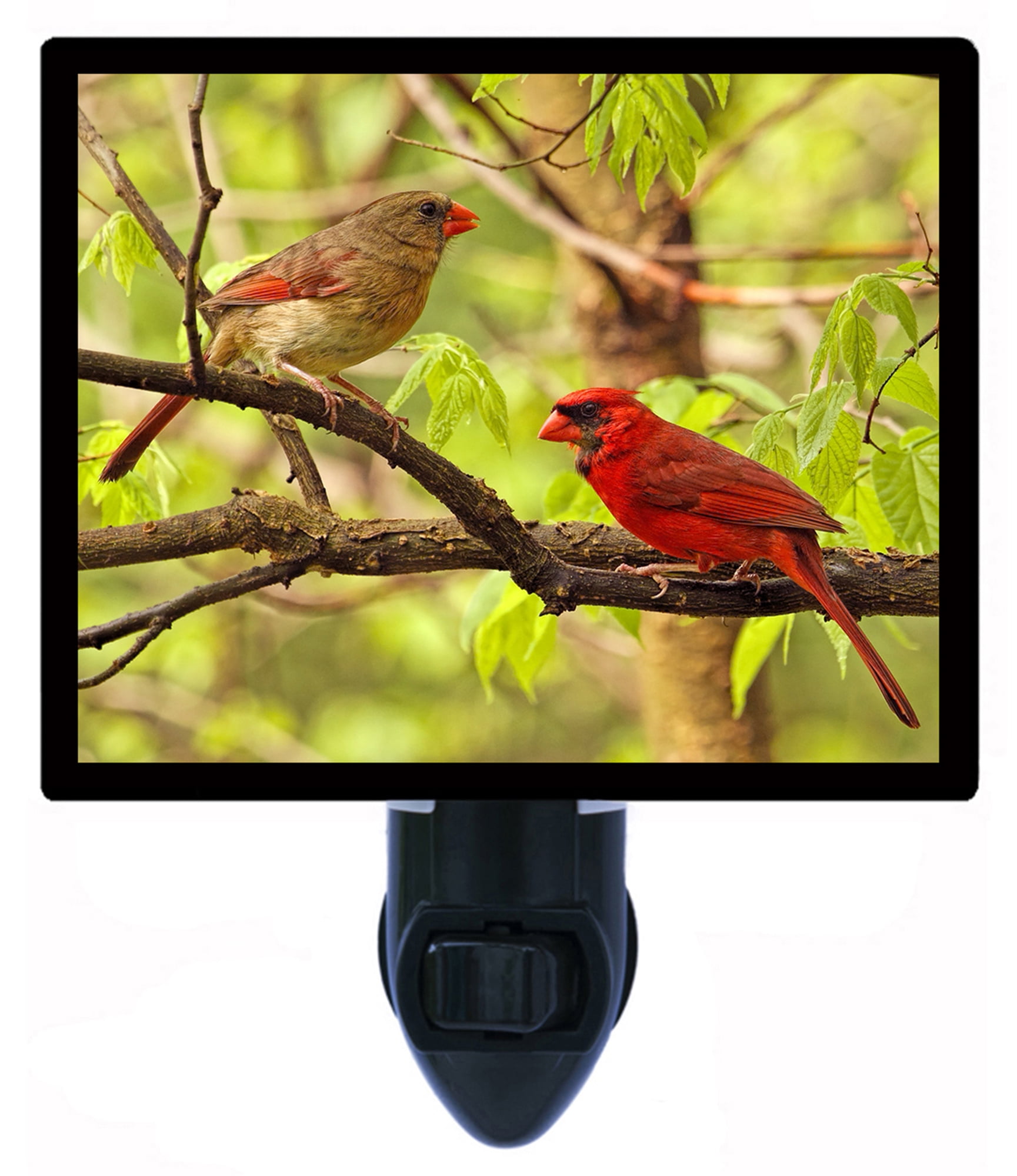 Night Light - Two Cardinals in Tree. | Bird Theme, Includes Free ...