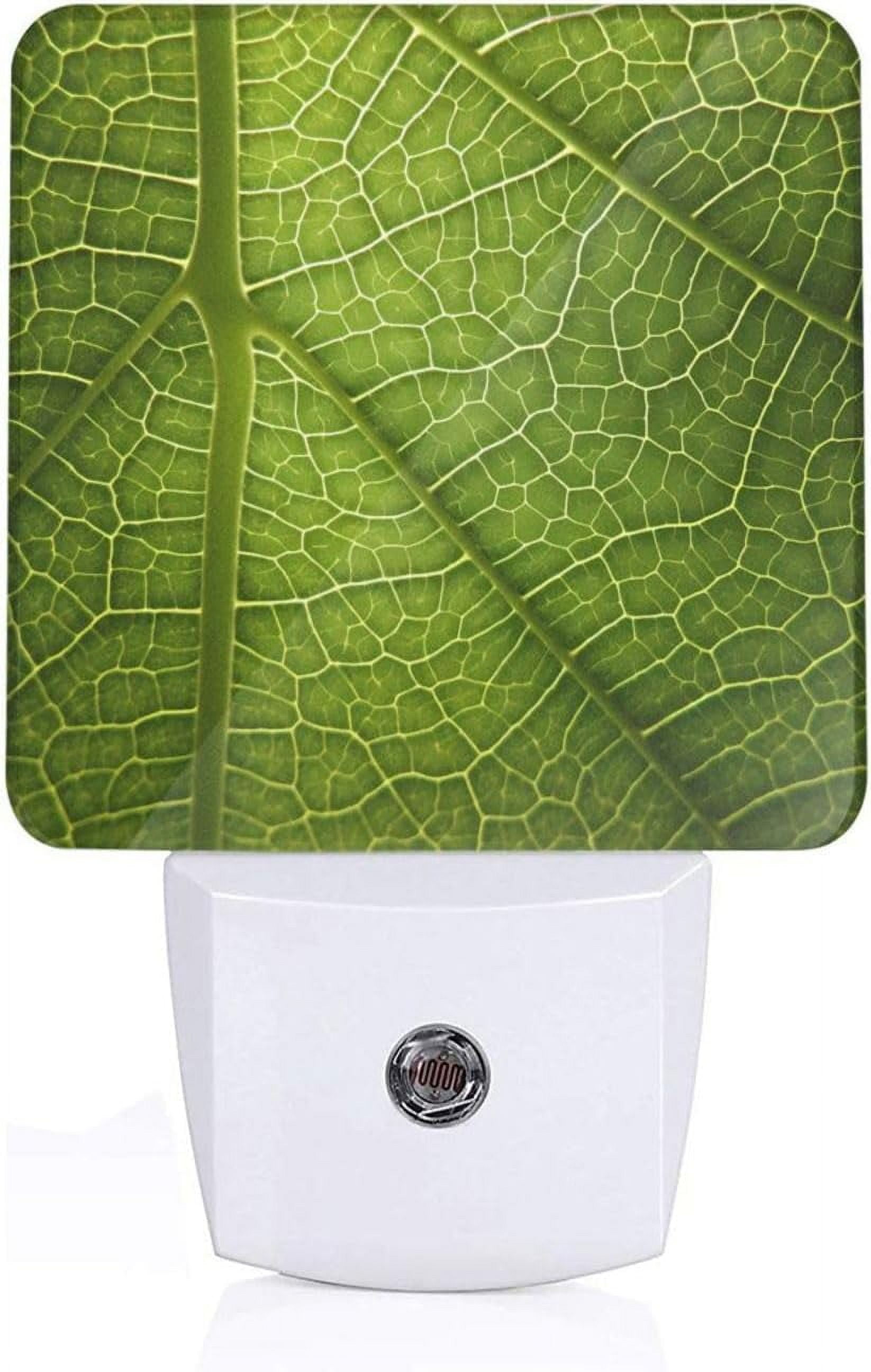 Night Lights Plug Into Wall Led Night Light With Smart Sensor Tree Leaf ...