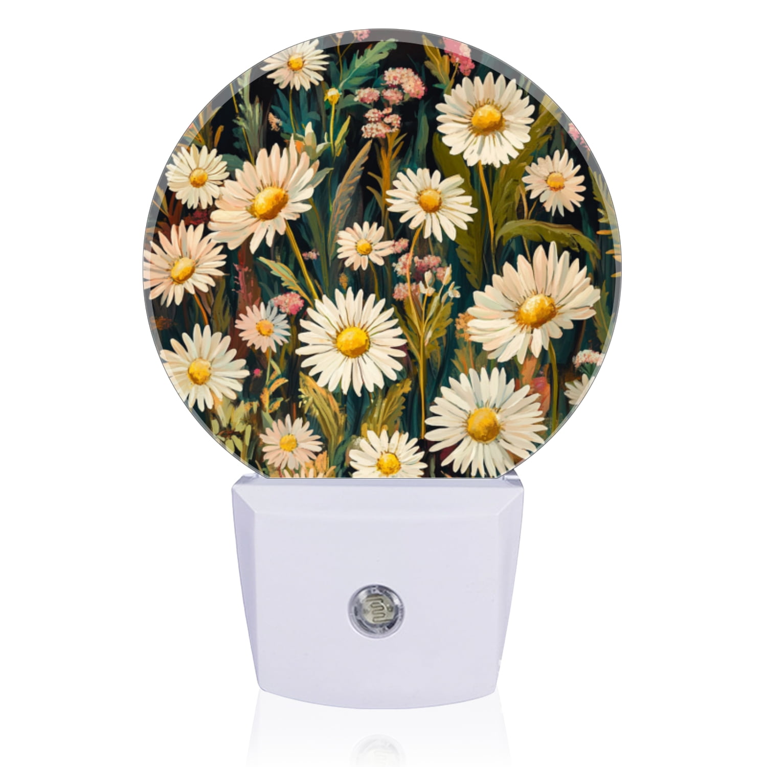 Night Lights Plug Into Wall, Gorgeous Daisy - Filled Garden LED Night ...
