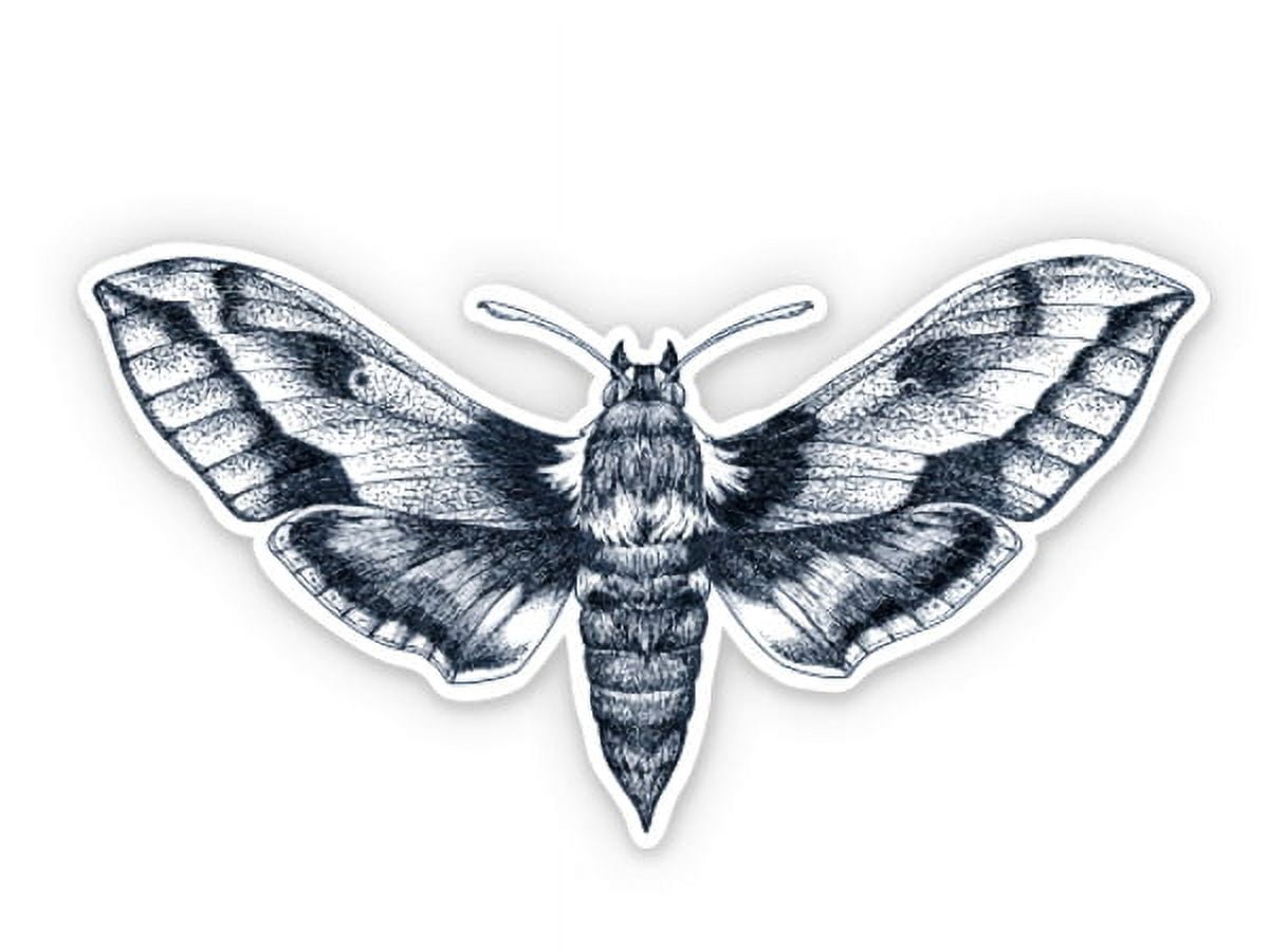 Night Moth Pretty - 3" Vinyl Sticker - For Car Laptop Water Bottle ...