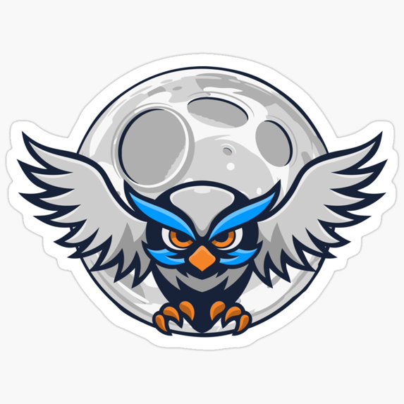 Night Owl Sticker Phone Decal Water Bottle Stickers Car Decals, Laptop ...