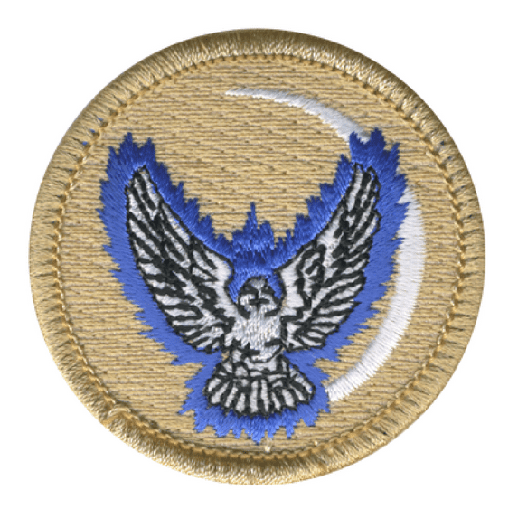 Night Wing Scout Patrol Patch (Sew-on) - ClassB - Walmart.com