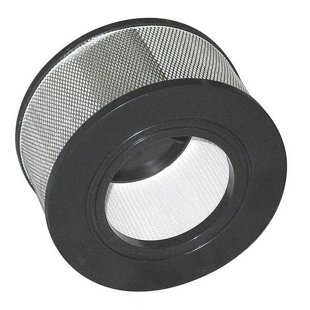 Nilfisk Cartridge Filter,Paper,Non-Reusable L01737631 - Walmart.com