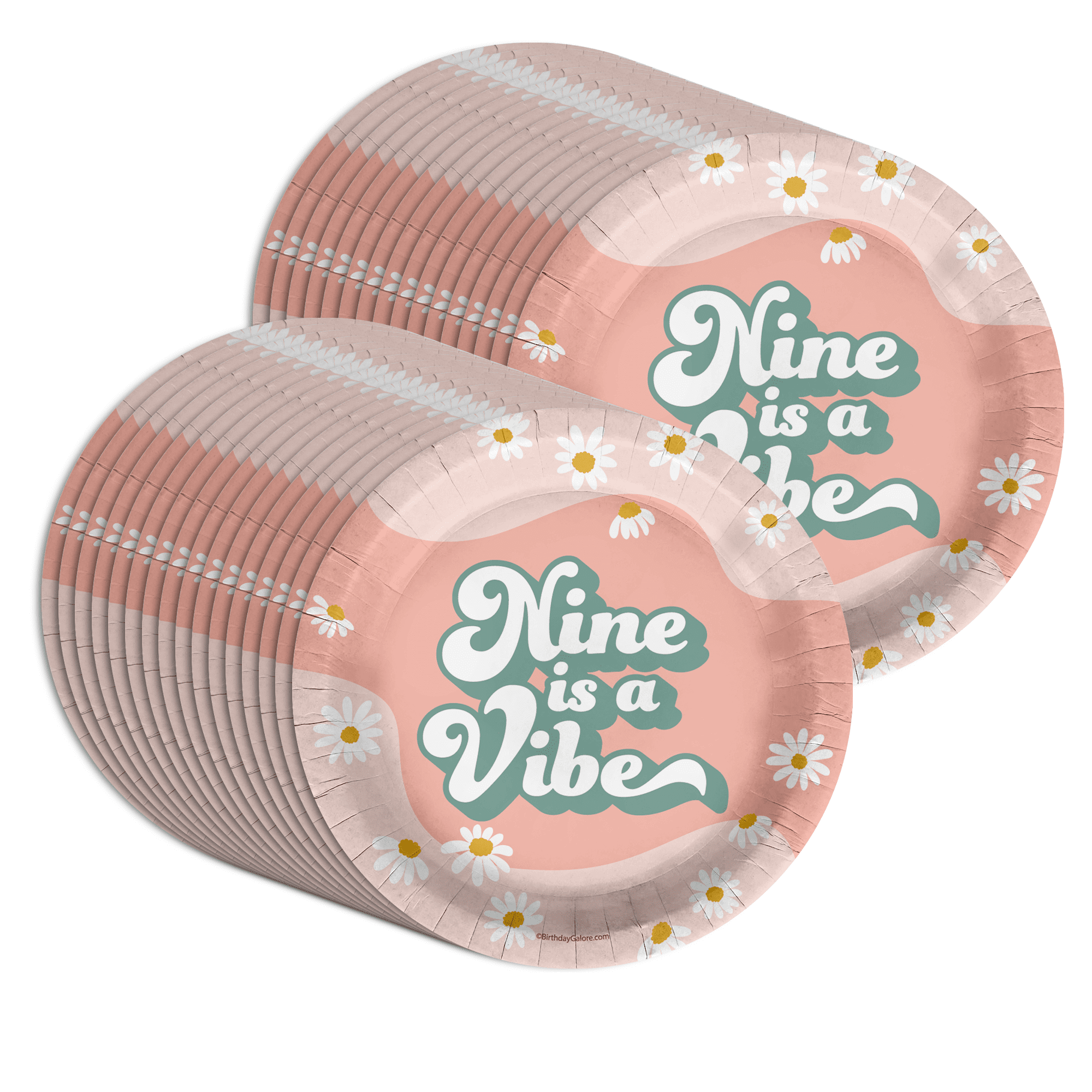 Nine is a Vibe Groovy Birthday Party Supplies 9th Birthday Party Plates ...