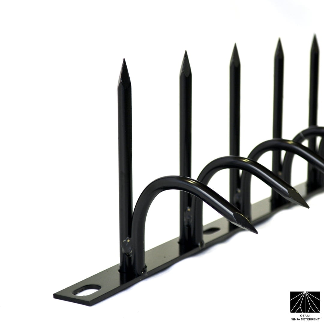 Ninja Deterrent™ | Fence Spikes Wall Spikes Home Security Guard | Ninja ...