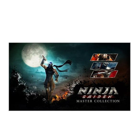 Ninja Gaiden Master Collection Video Game