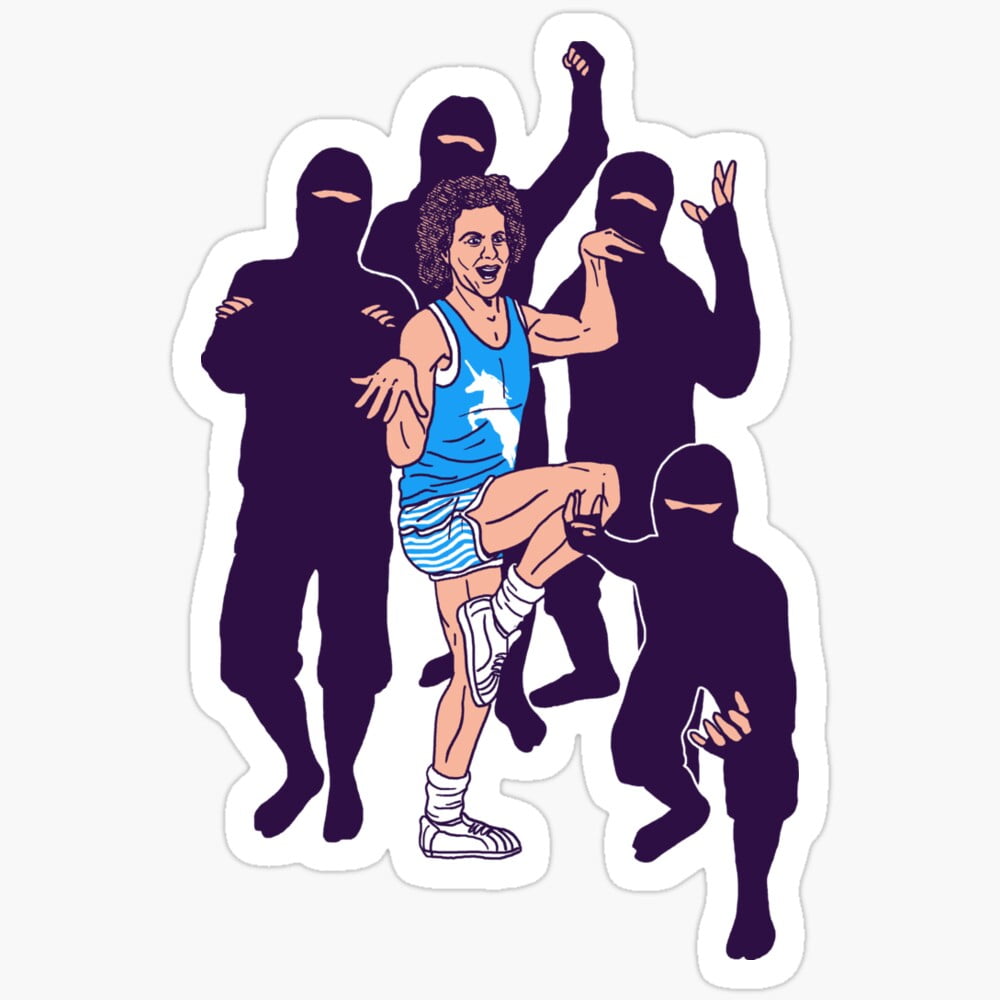 Ninja Trainer Sticker Phone Decal Water Bottle Stickers Car Decals ...