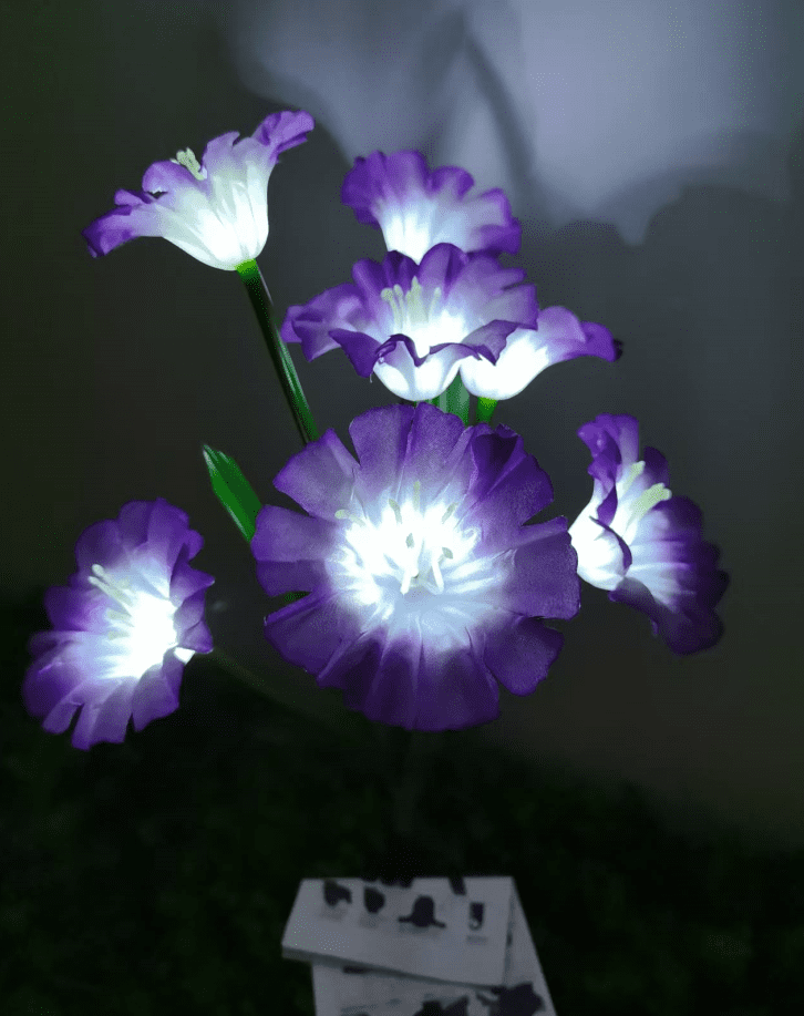 Ninonly Solar Garden Lights 2 Pack, Morning Glory Solar Pathway Lights ...