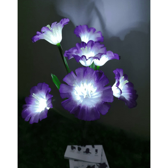 Ninonly Solar Garden Lights 2 Pack, Morning Glory Solar Pathway Lights ...