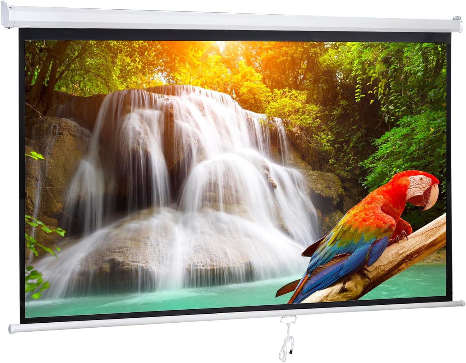 NintyFive Projector Screen 100 Inch 16:9 HD Portable Manual Pull Down ...