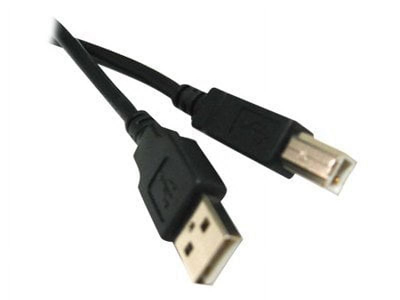 Nippon Labs Beige 15 ft. USB Cable A/Male to B/Male Model 15ft USB-15 ...