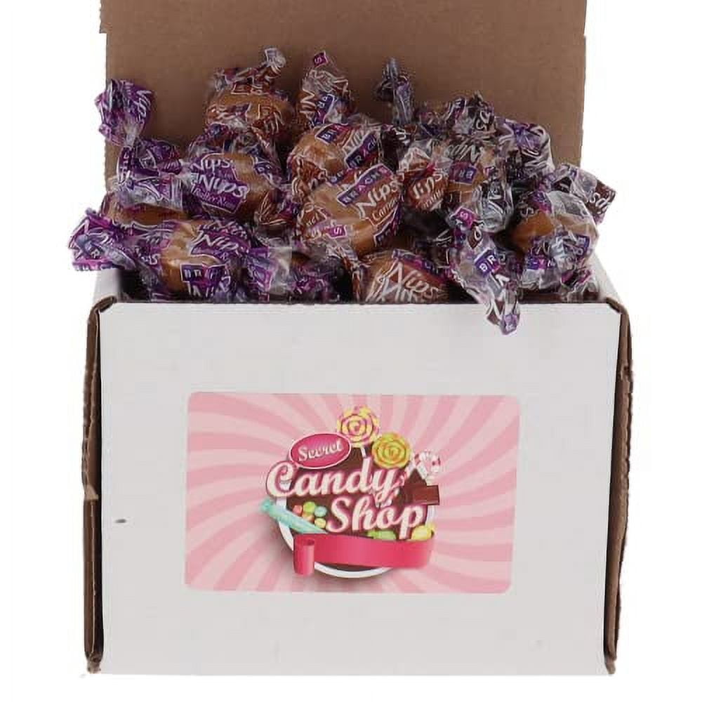 Nips Hard Candy Bulk in Box (Assorted Flavors) (Pack of 50) - Walmart.com