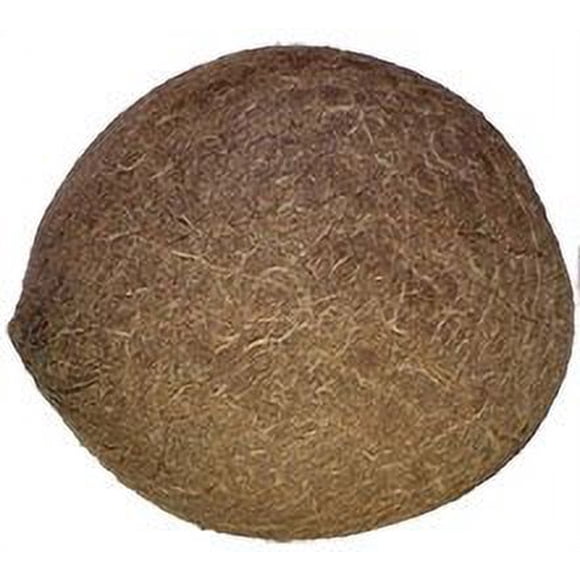 Whole Dry Coconut