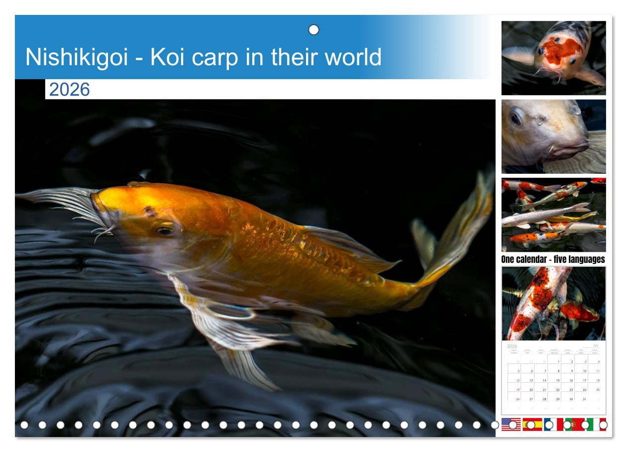Nishikigoi - Koi carp in their world (Monthly Wall Calendar 2026 11.7 x ...