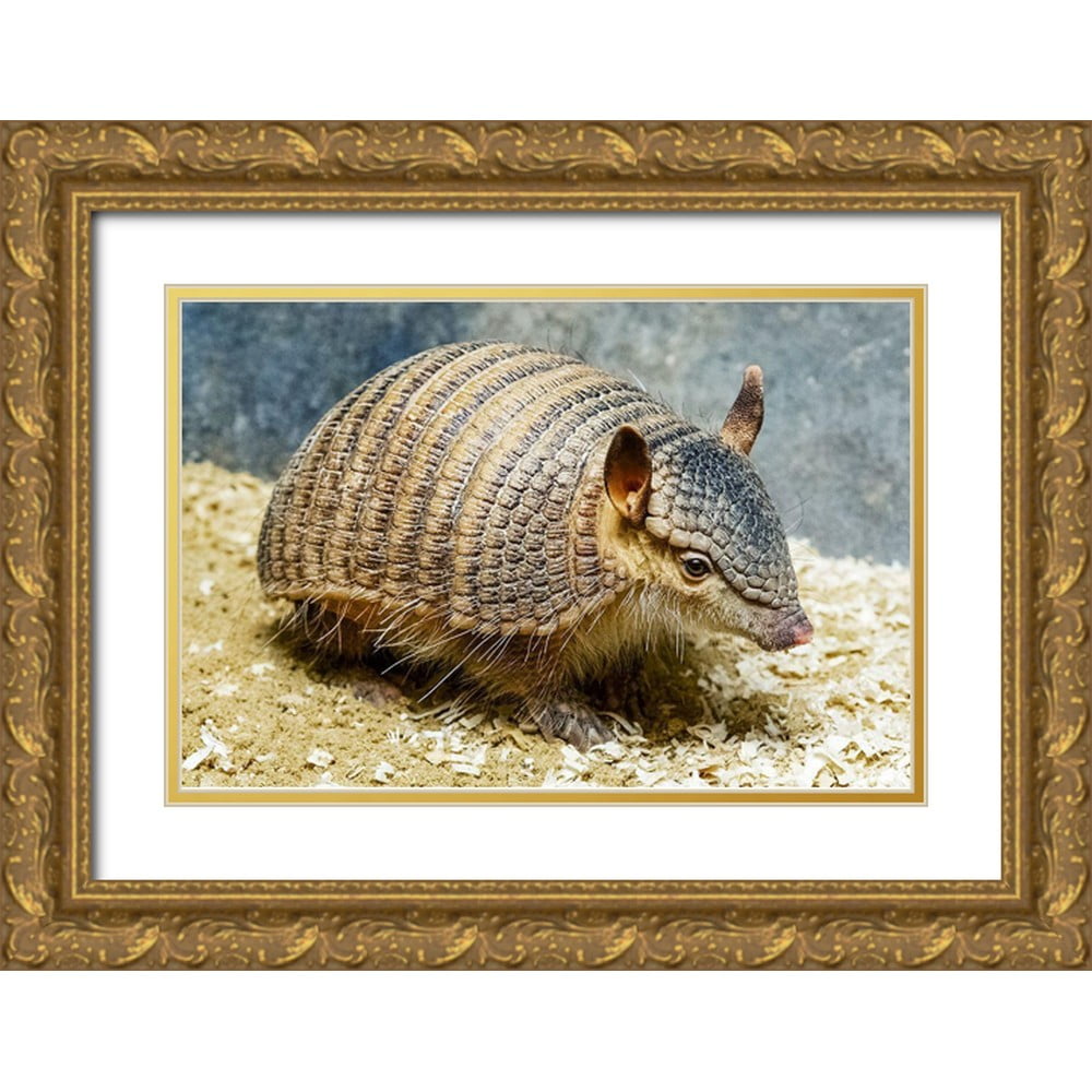 Nishimura, Clyde E. 24x17 Gold Ornate Wood Framed with Double Matting ...