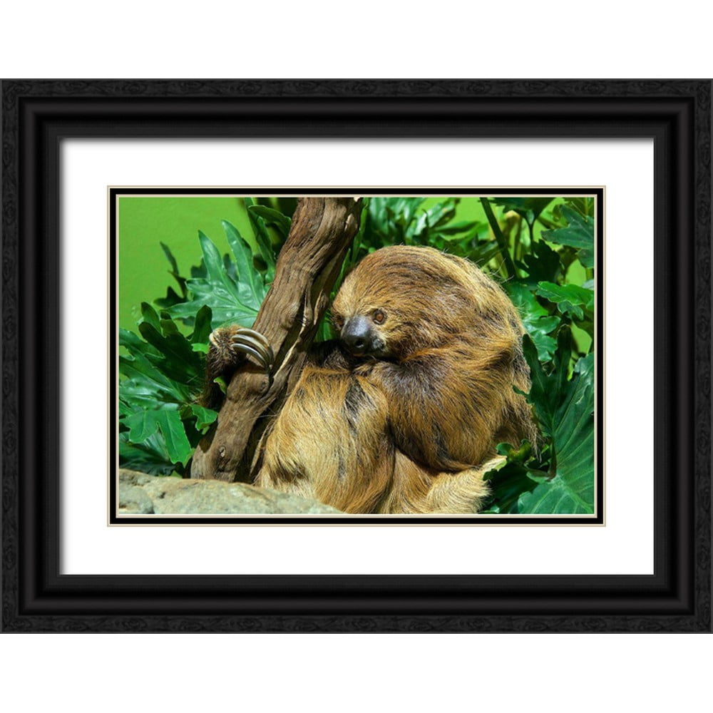 Nishimura, Clyde E. 32x23 Black Ornate Wood Framed with Double Matting ...