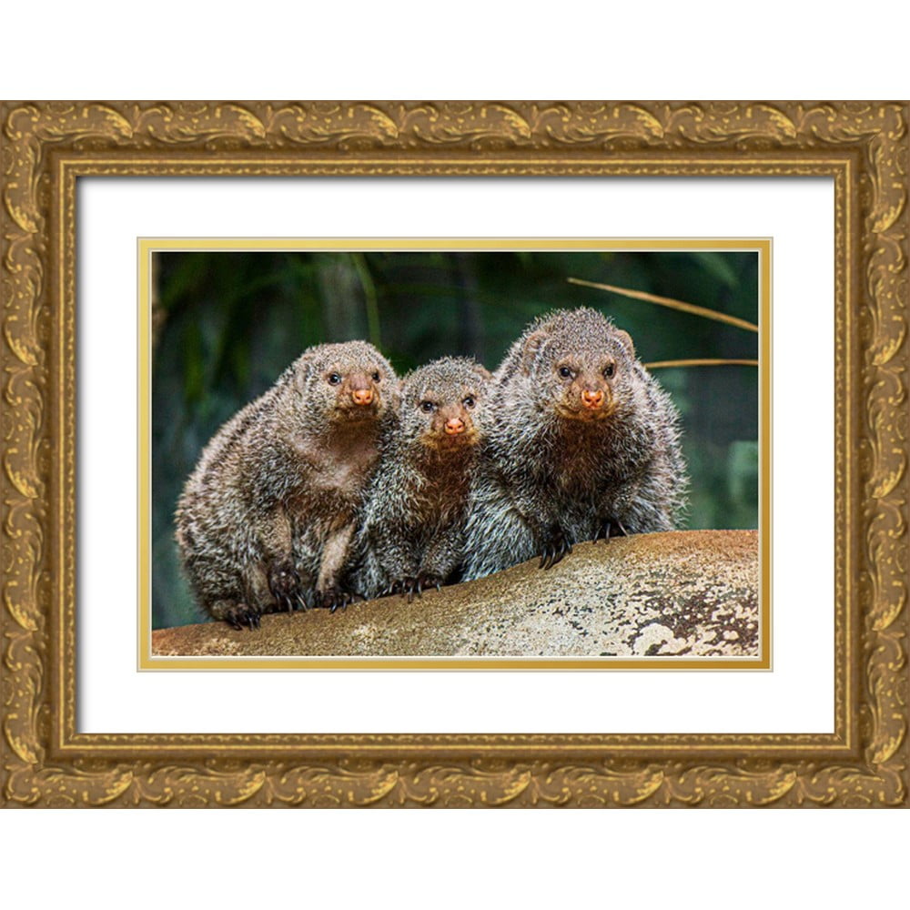 Nishimura, Clyde E. 32x23 Gold Ornate Wood Framed with Double Matting ...