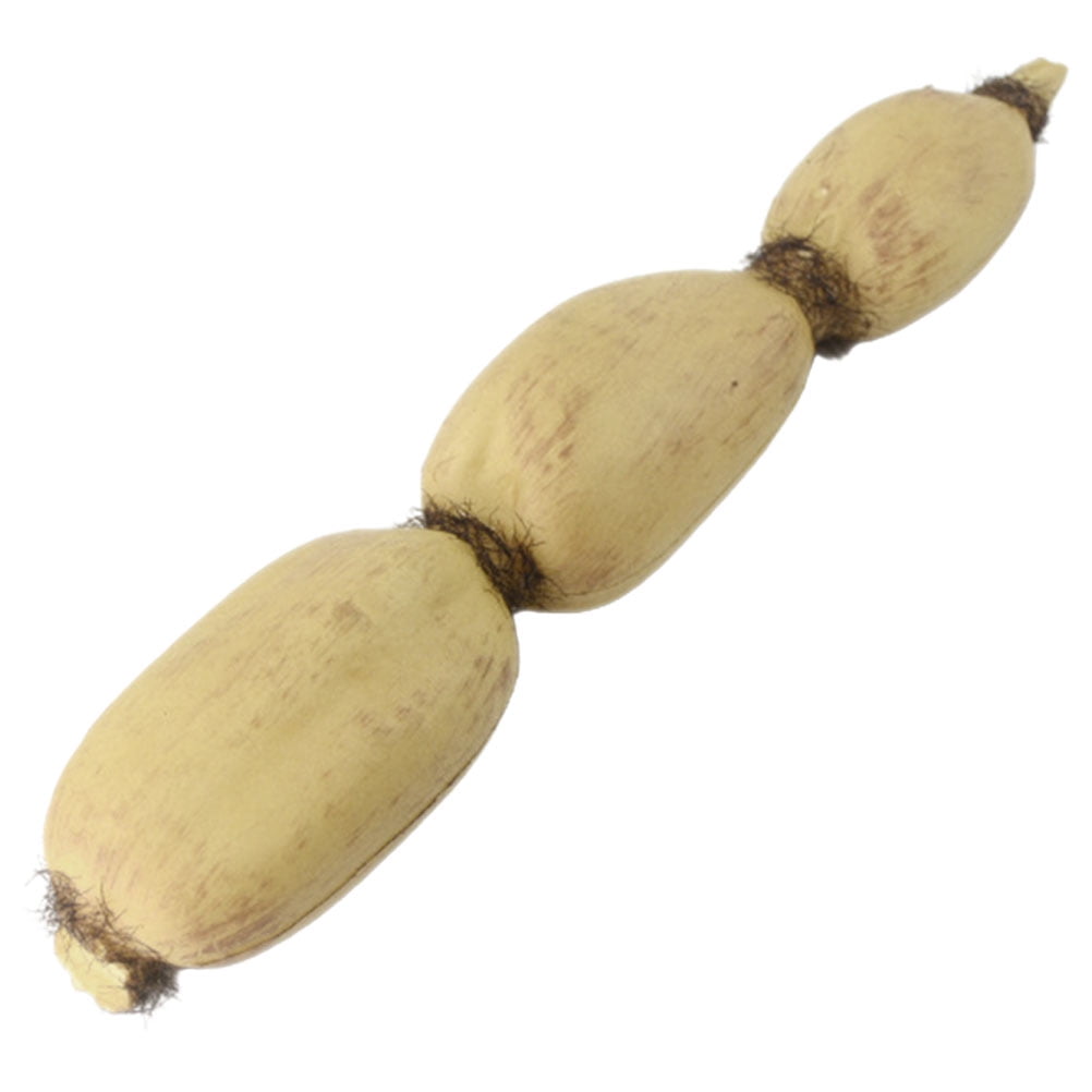 Nishuna Simulation Lotus Root Artificial Fake Lotus Root Prop Kitchen ...