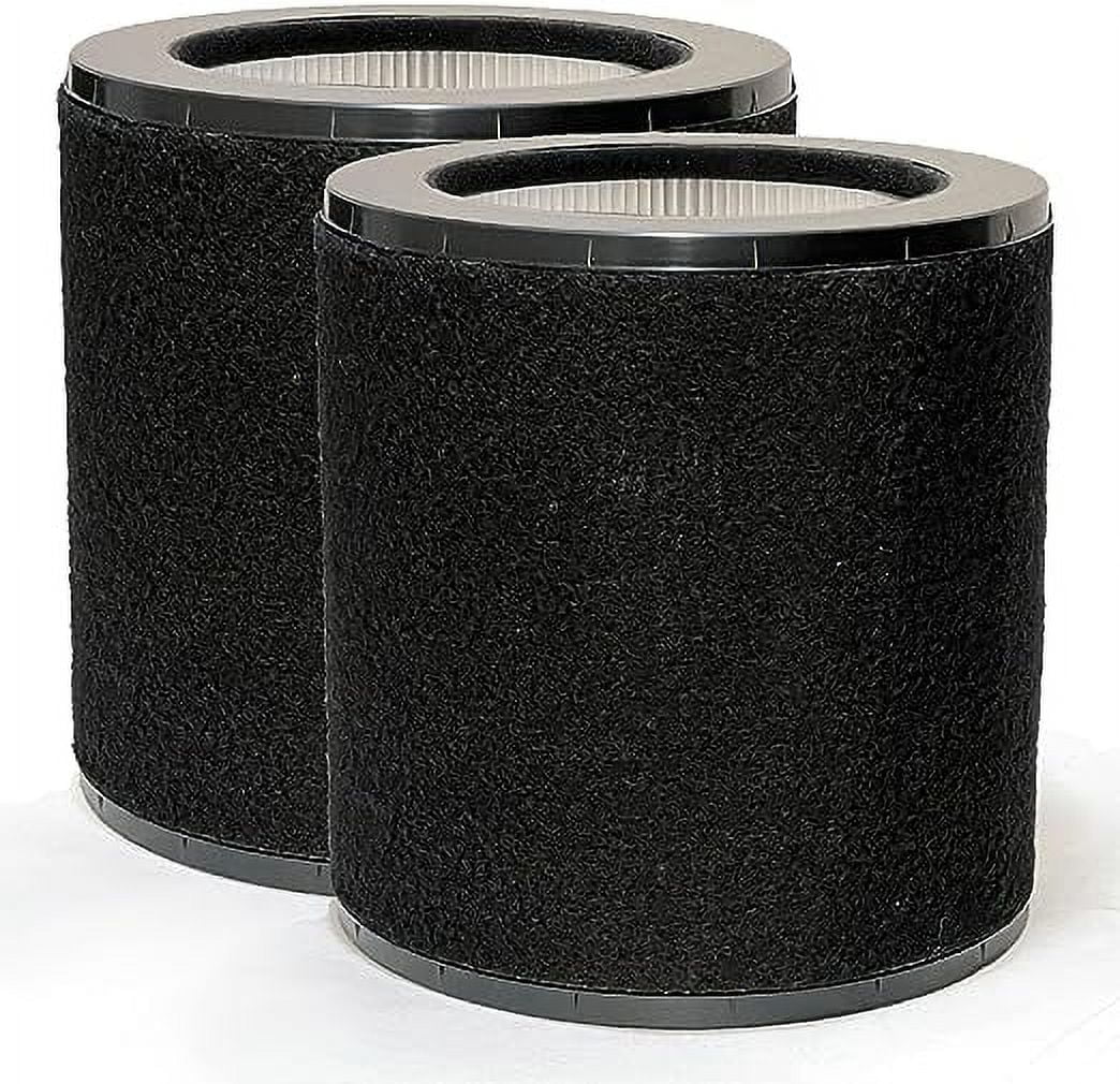 Nispira 2-in-1 HEPA Filter for TaoTronics TT-AP008 Air Purifier ...