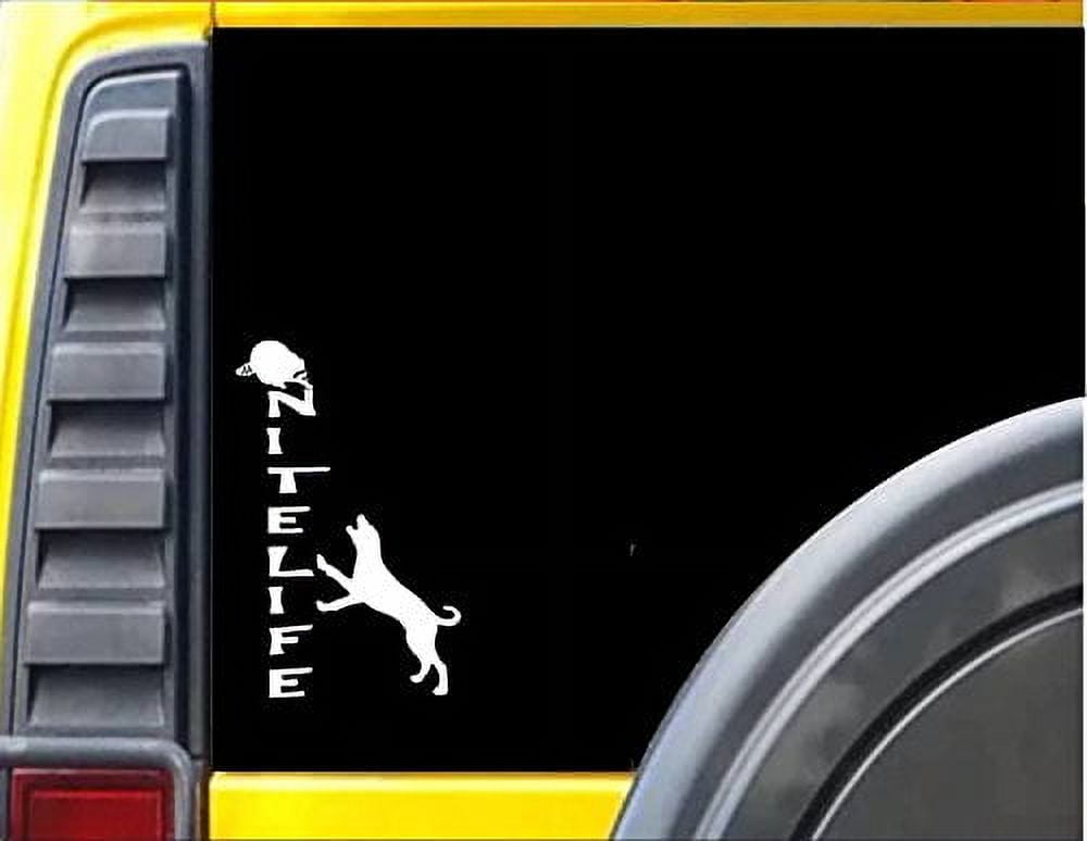 Nite Life Tree Dog *J343* 8" Tall Coonhunting Sticker decal - Walmart.com