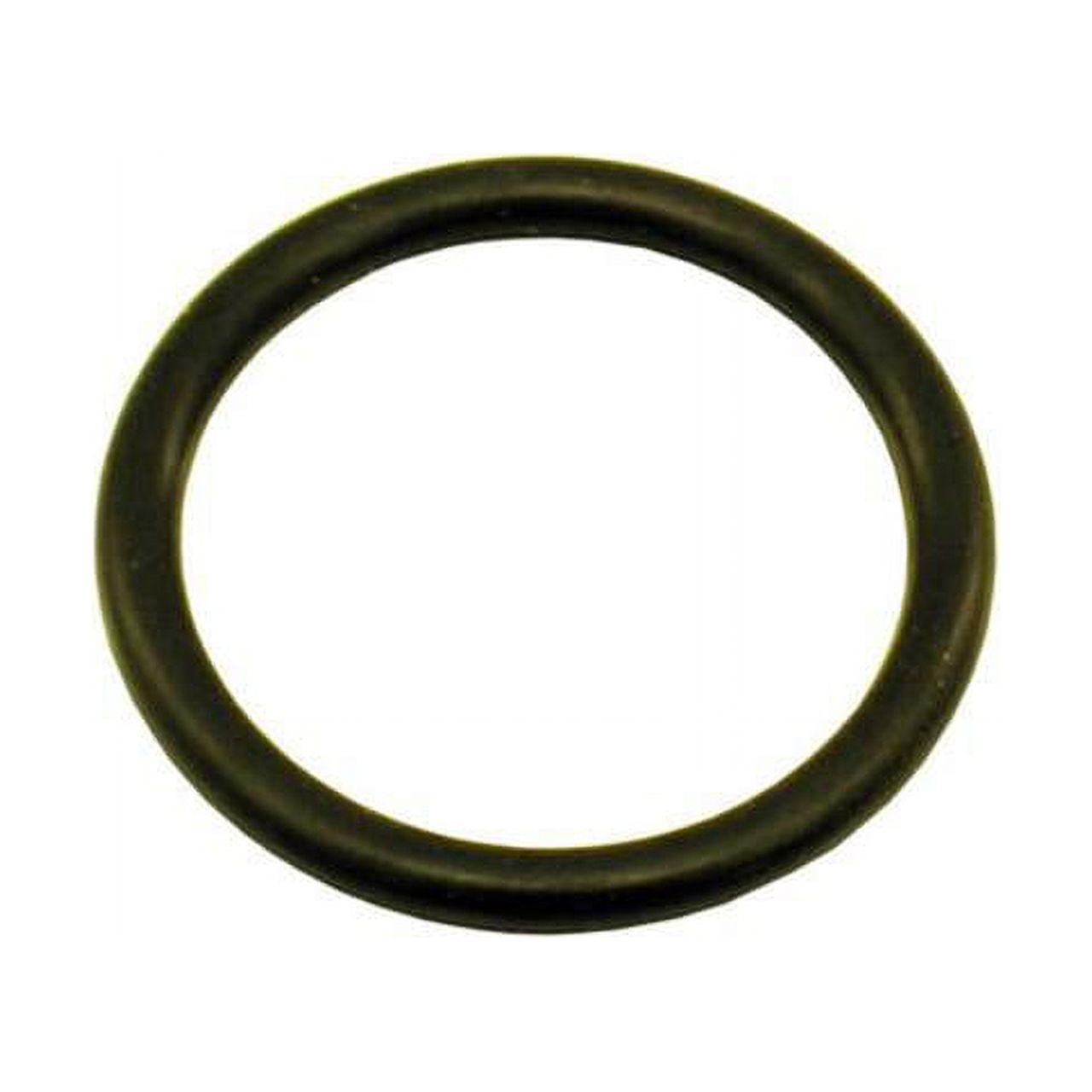 Nitrous Express 5/8 O-Ring for Motorcycle Bottle Valve (Fits 2lb ...