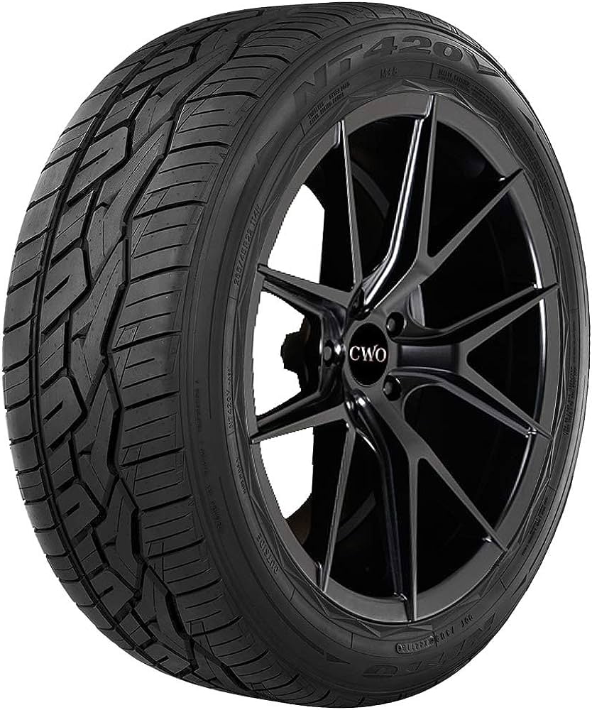 Nitto NT420V 295/30R22XL 103V BSW – Sansujyuku
