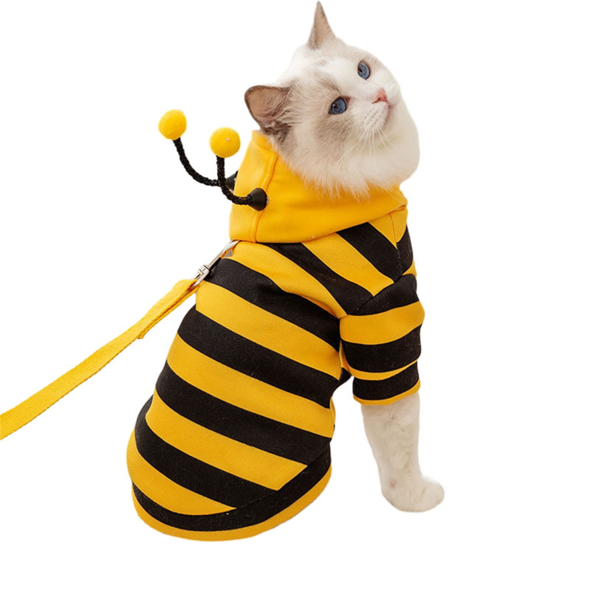 Niusricy Cat Autumn Winter Hoodie Clothes Small Pet Costume Bee Costume ...