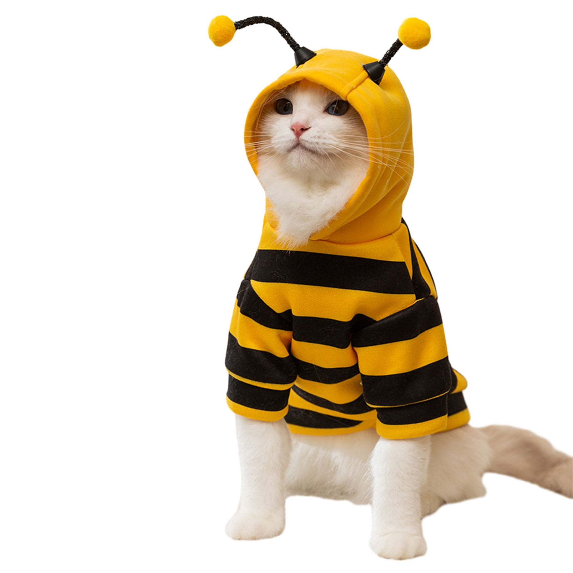 Niusricy Cat Autumn Winter Hoodie Clothes Small Pet Costume Bee Costume ...