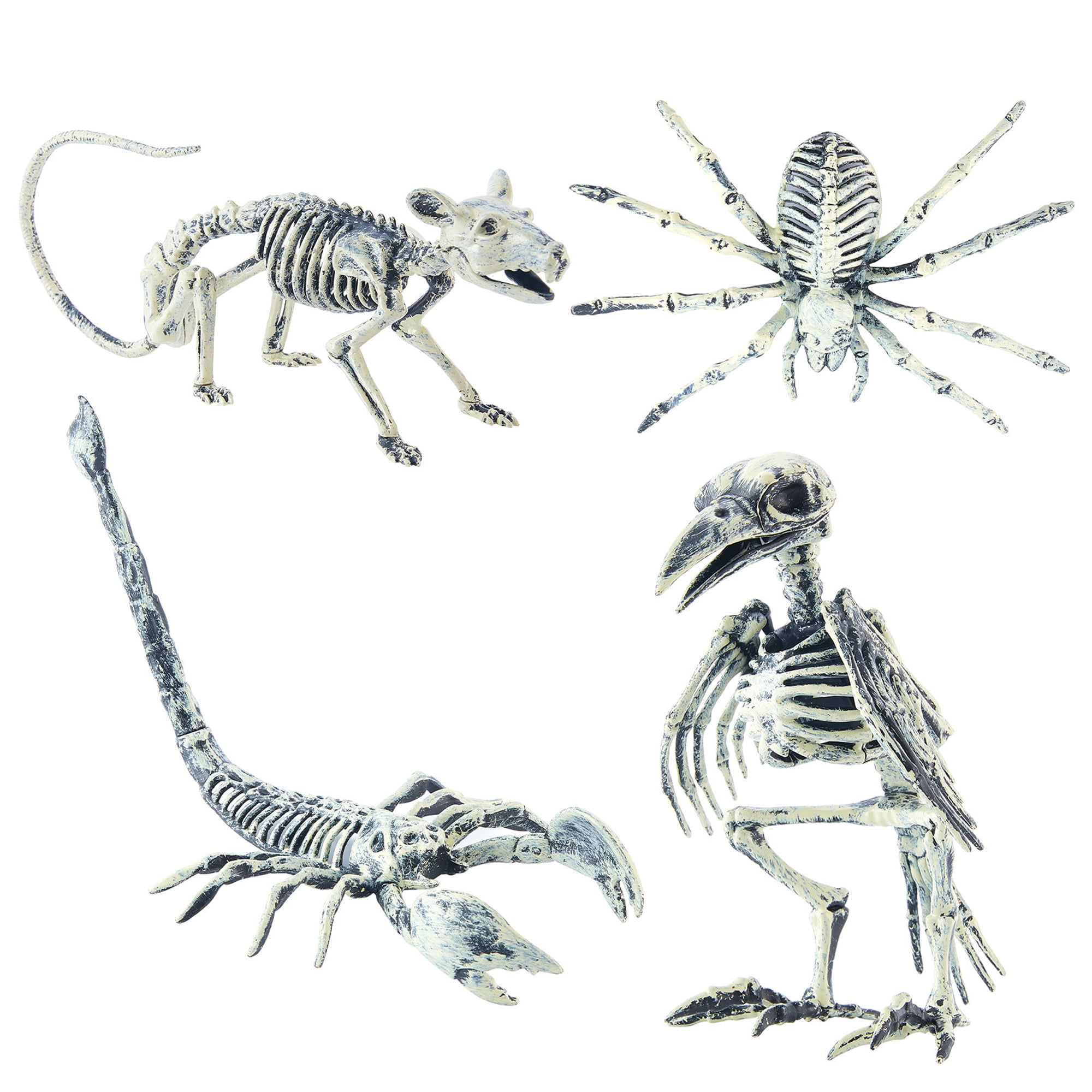 Niusricy Halloween Decoration Animal Skeleton, Spooky Skull Haunted ...