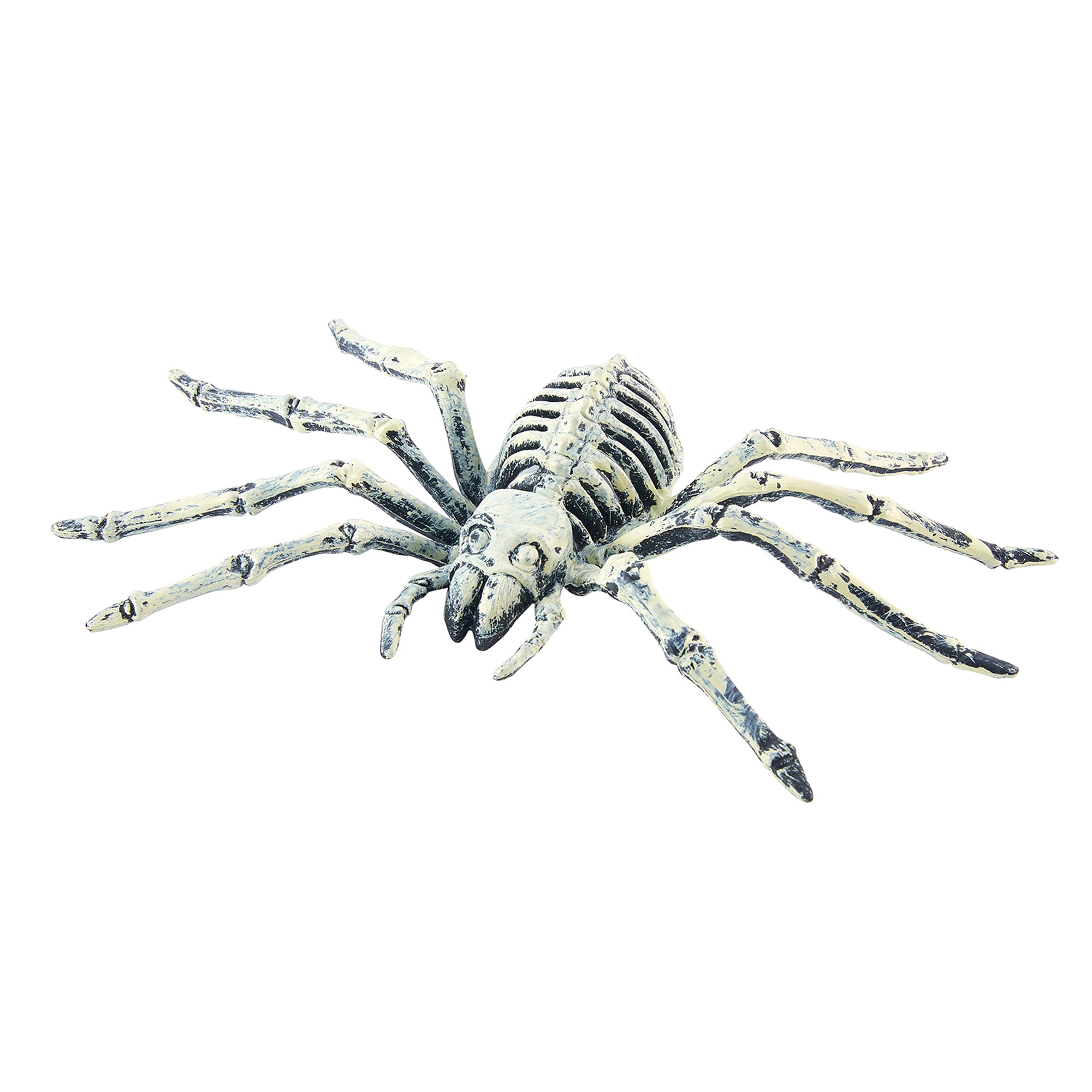 Niusricy Halloween Decoration Animal Skeleton, Spooky Skull Haunted ...