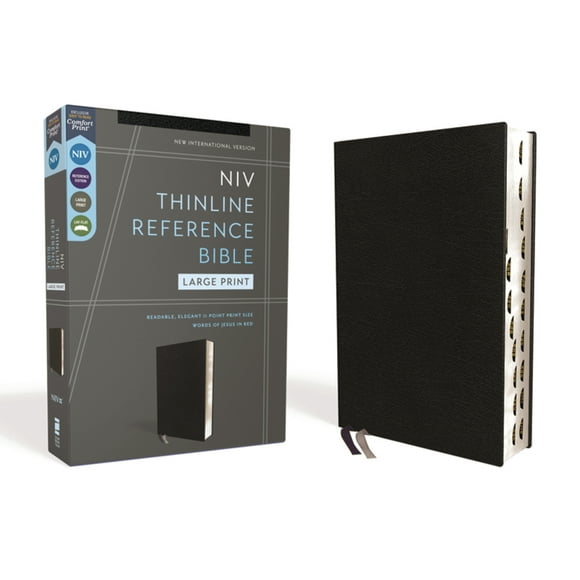 Niv Bible Large Print