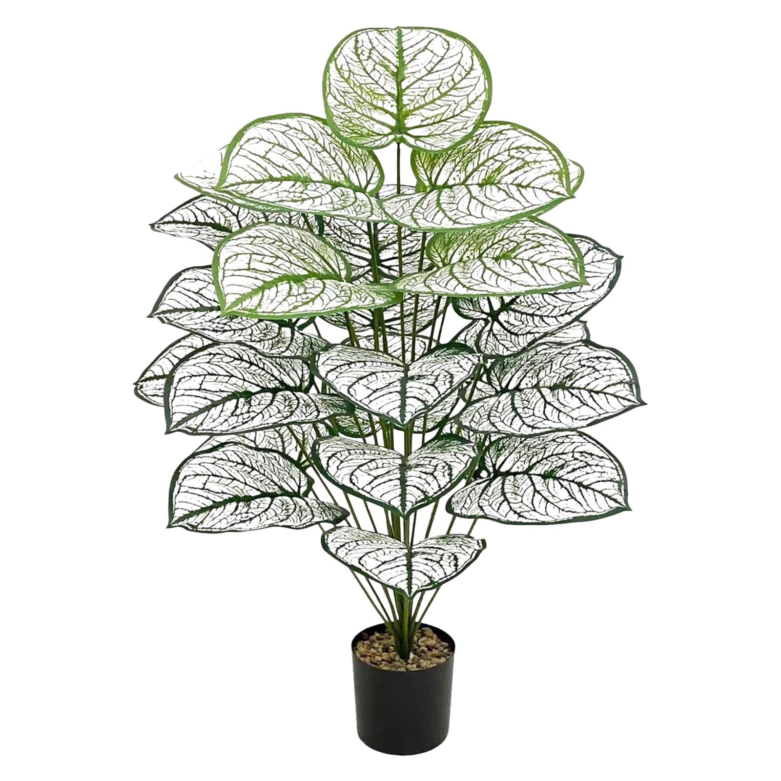 Njshnmn White Variegated Anthurium Leaves Faux With White Marbling For ...