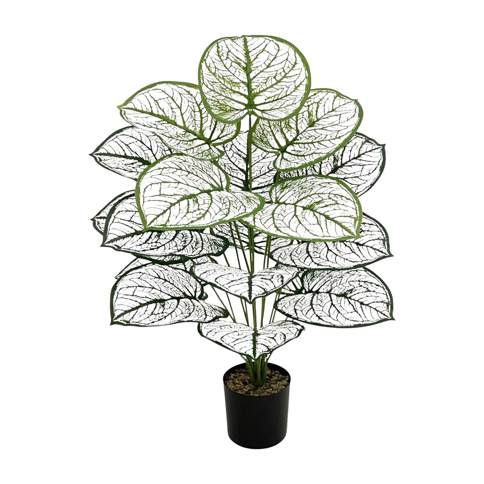 Njshnmn White Variegated Anthurium Leaves Faux With White Marbling For ...