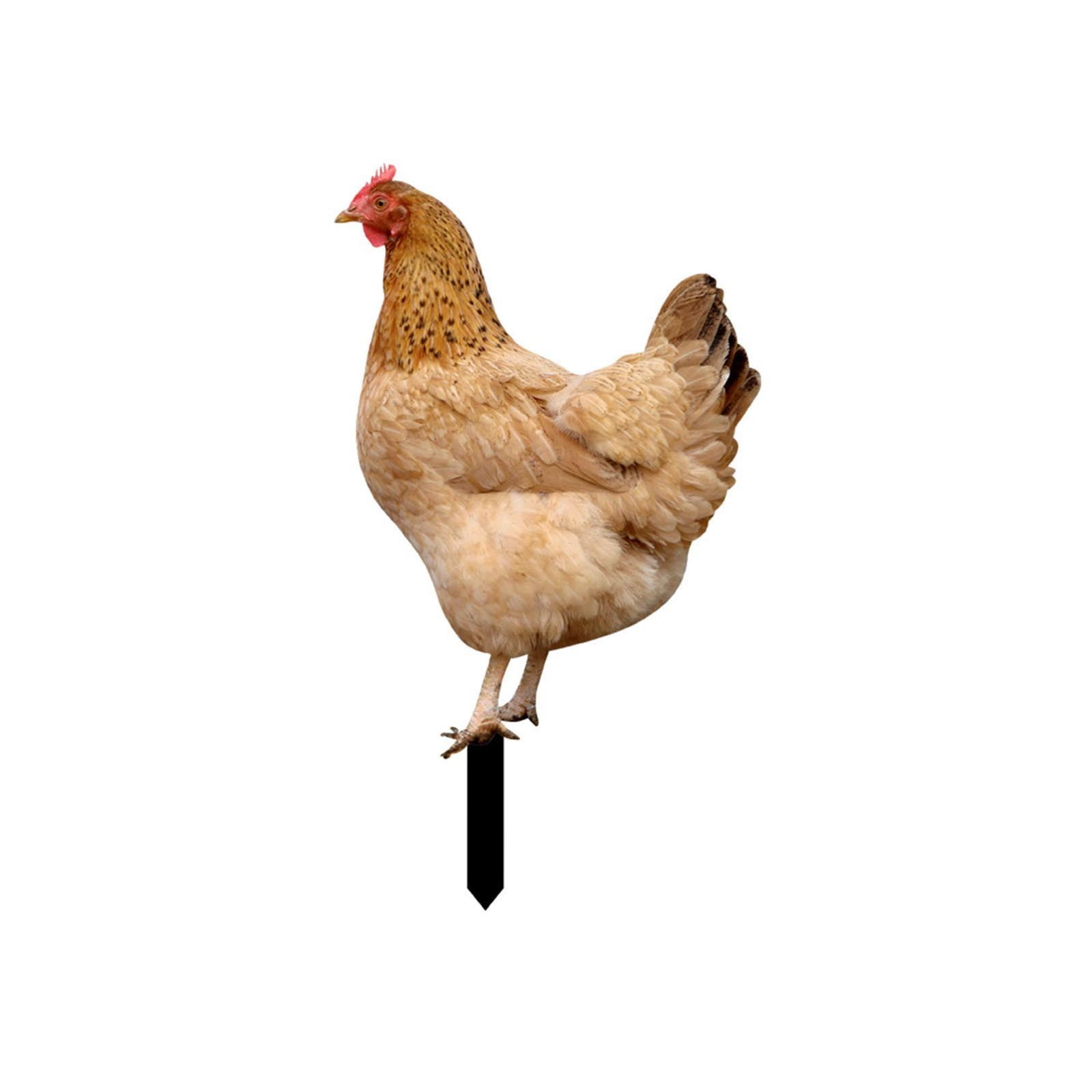 Njspdjh Garden Decor Hen Acrylic Outdoor Courtyard Insert Garden Garden ...