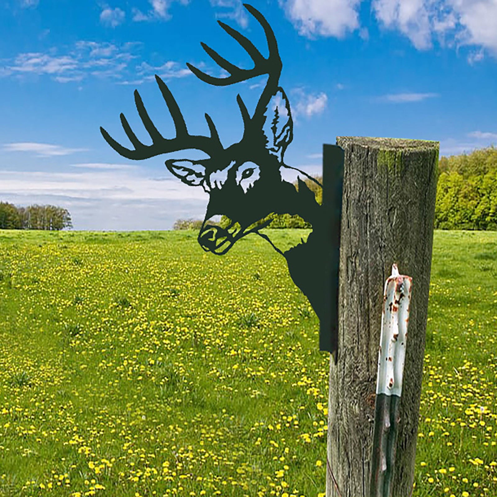 Njspdjh Kitchen Supplies For New House Balls for Crafts Outdoor Garden ...