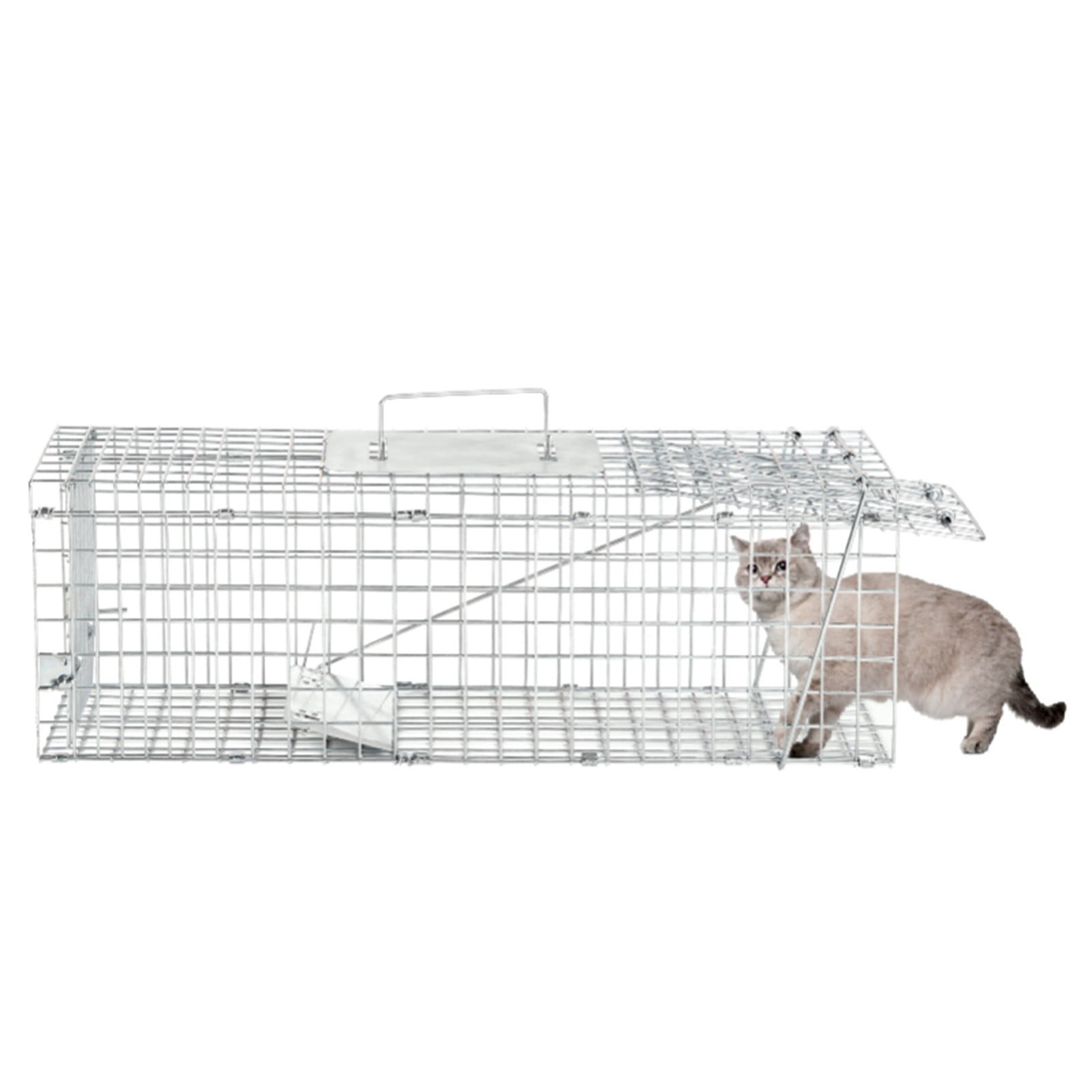 Njspdjh Live Animal Trap 24"x8"x7" Humane Cat Trap Cage for Stray Cats ...