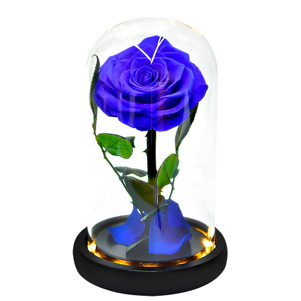 Nmdmisc Beautiful Preserved Rose Flowers in Glass Dome Gift Pack ...