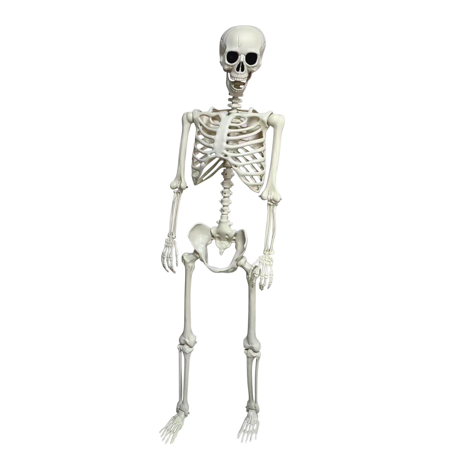 Nmdmisc Halloween Life Size Skeleton, 65" Skeleton Decor Realistic Full ...