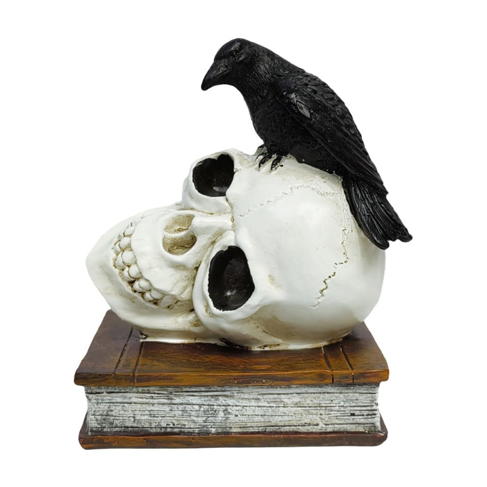 Nmdmisc Halloween Raven On Skull Statue,Resin Halloween Crow Skull ...